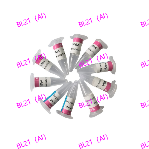 BL21（AI） 化学转化感受态细胞 - 睿必特生物科技（上海）有限公司