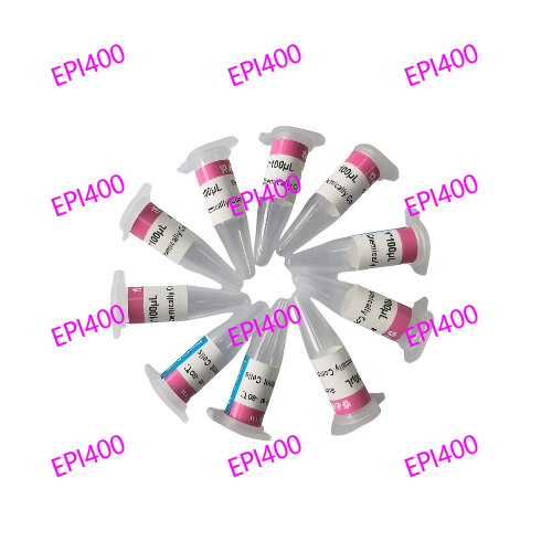 EPI400 化学转化感受态细胞 - 睿必特生物科技（上海）有限公司