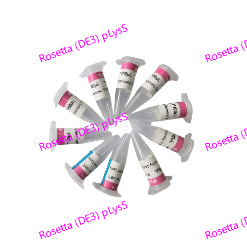 Rosetta (DE3) pLysS 化学转化感受态细胞 - 睿必特生物科技（上海）有限公司